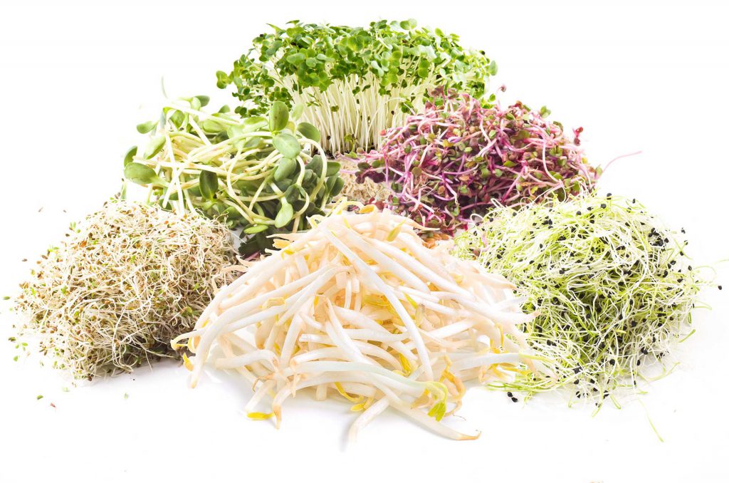 Sprouted seeds | European Sprouted Seed Association