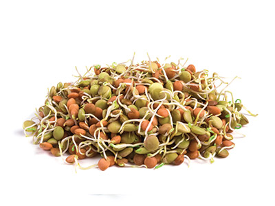 What we do | Sprouted seeds
